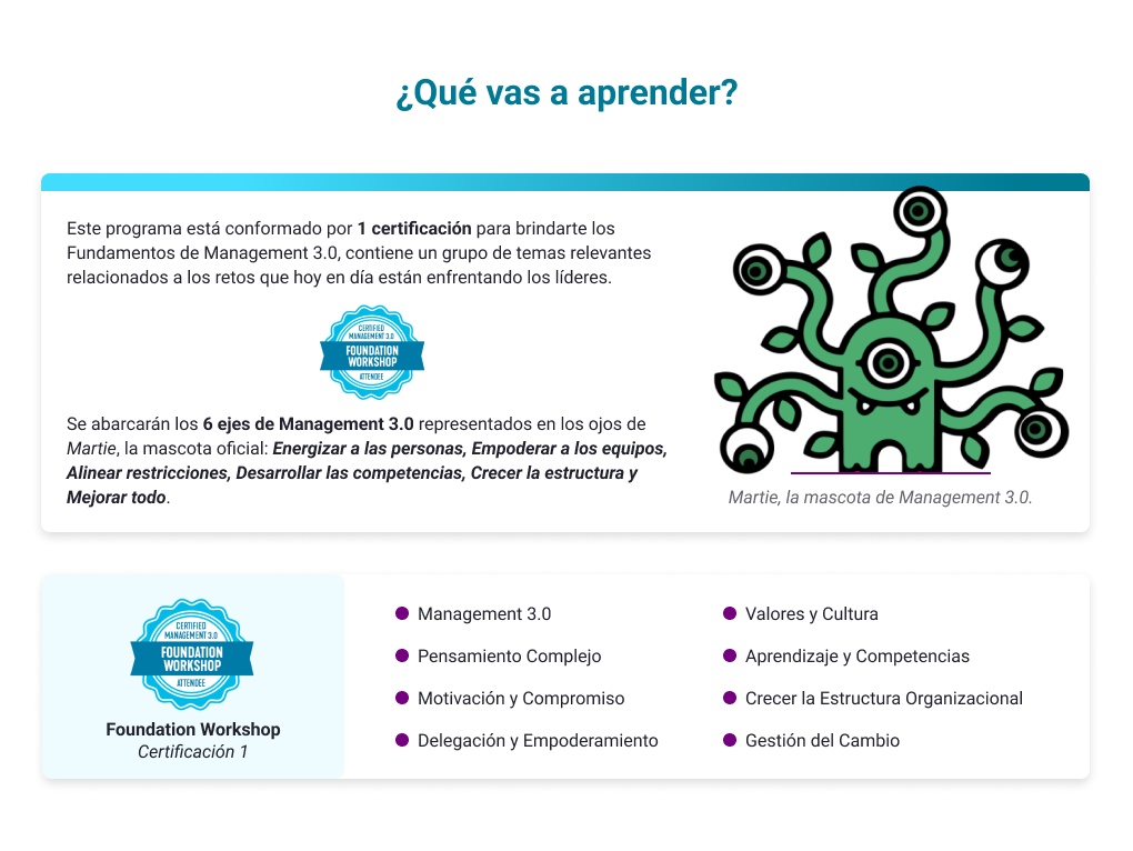 Foundation Workshop by Guillermo Lechuga in online - Management 3.0 ...